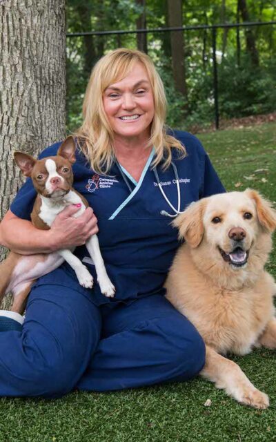 Doctors & Staff | Companion Animal Clinic | Veterinarian
