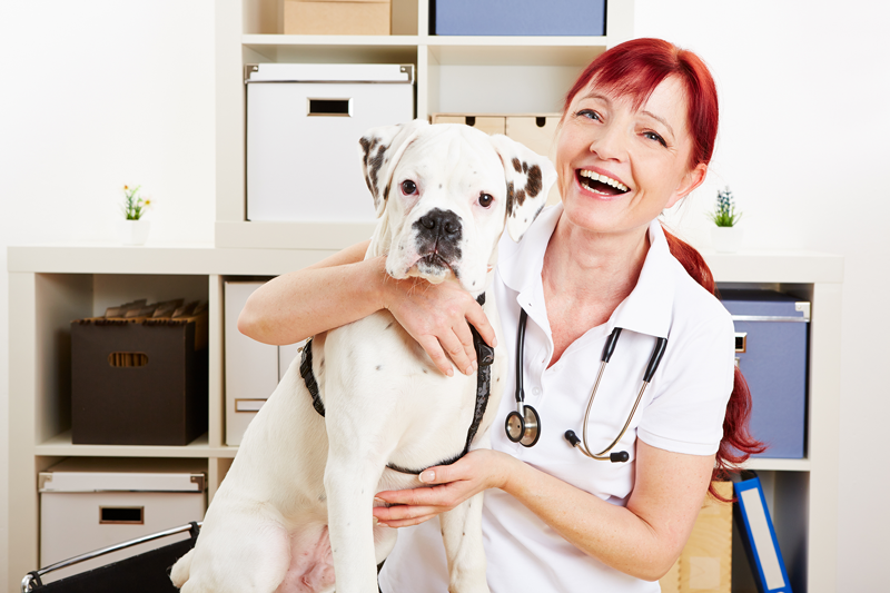 About | Companion Animal Clinic | Veterinarian