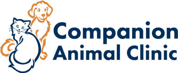 Doctors & Staff | Companion Animal Clinic | Veterinarian