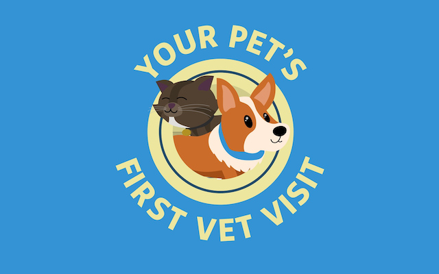 Your First Vet Visit | Companion Animal Clinic